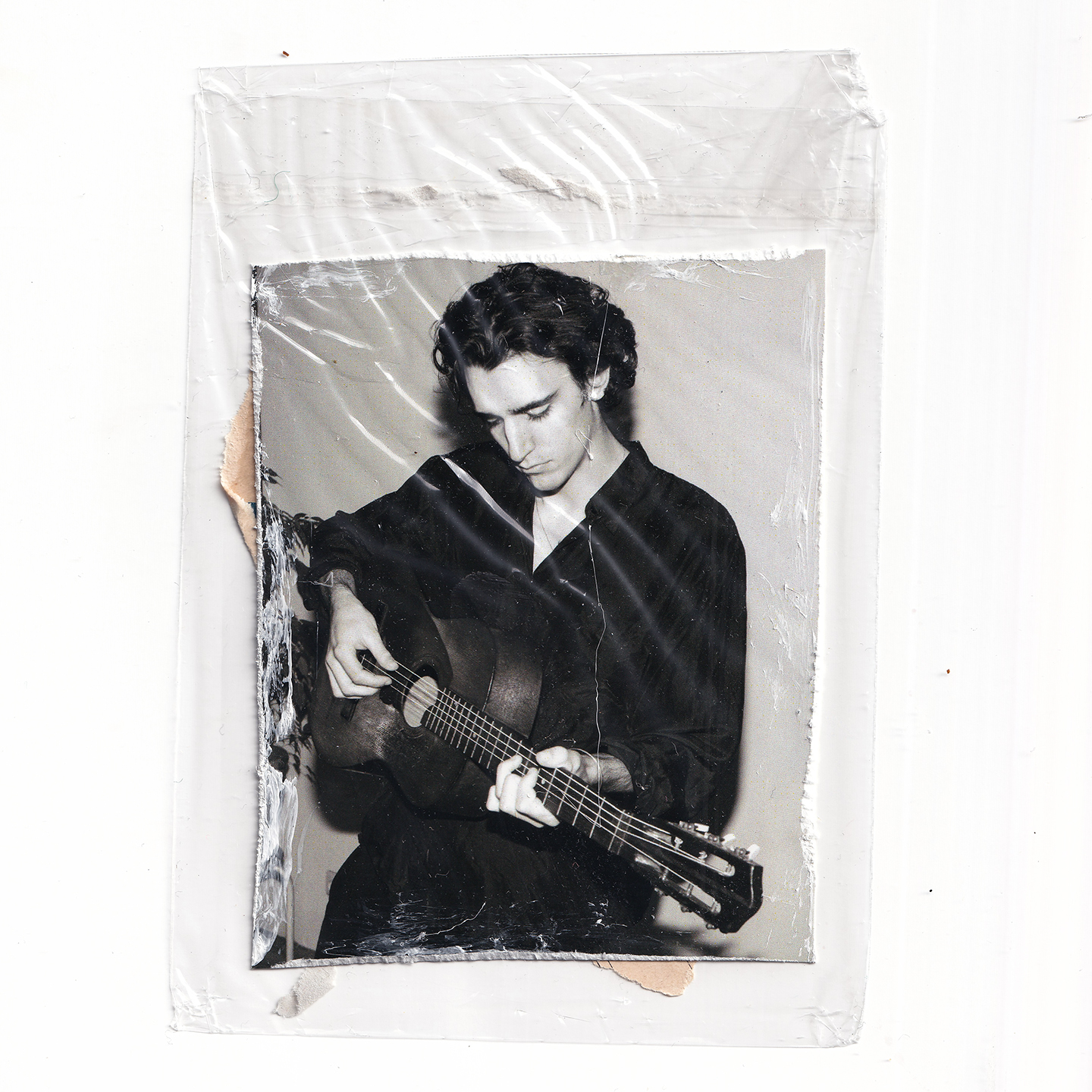 Tamino | Music